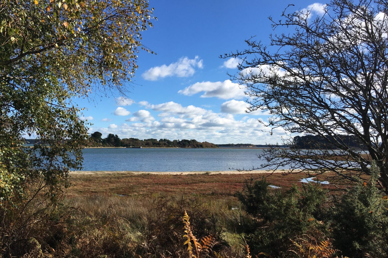 RSPB Arne Nature Reserve | Places to Visit | South Lytchett Manor