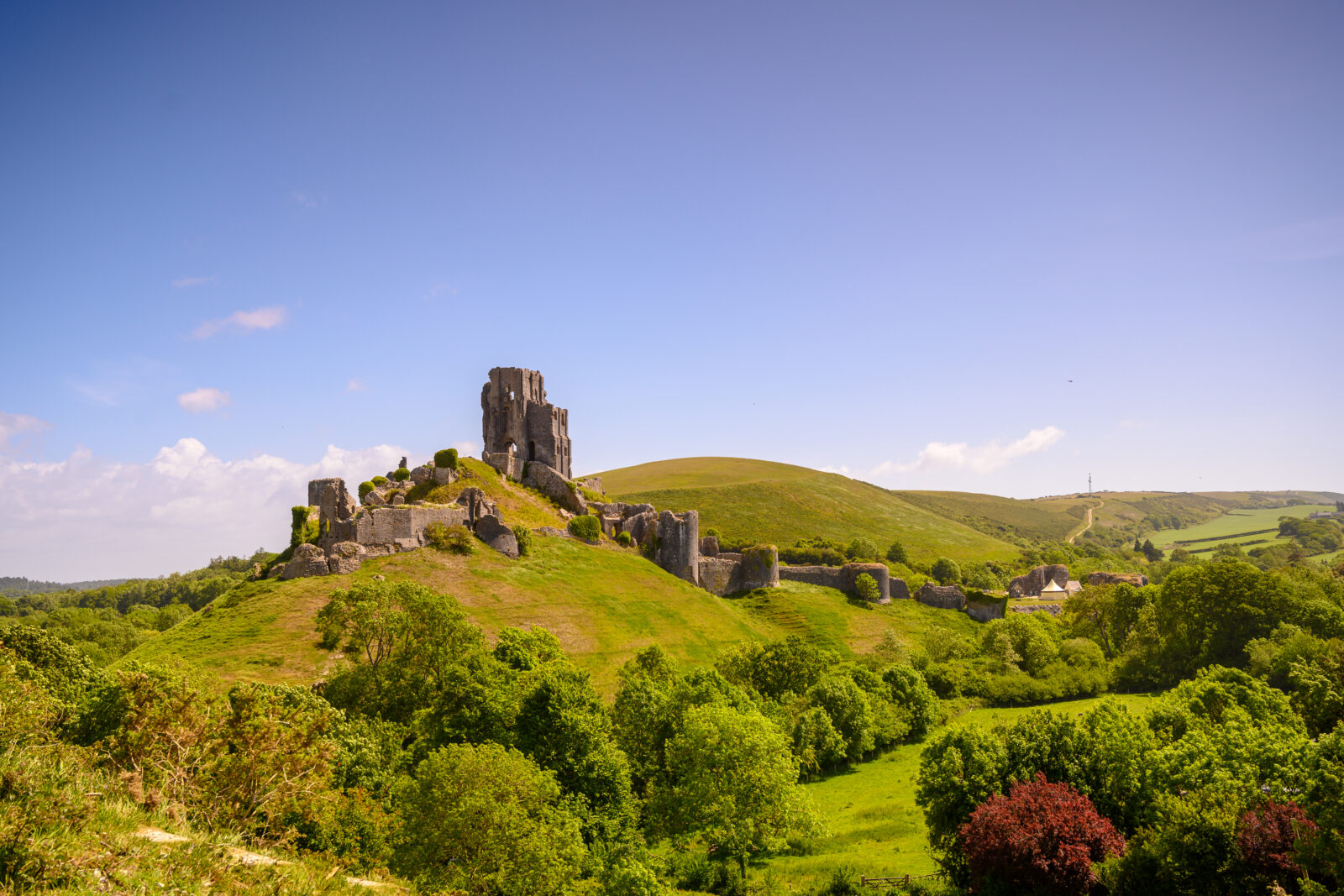 10 Reasons to Holiday in Dorset this Summer | South Lytchett